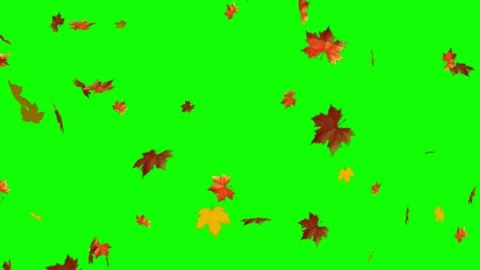 falling leaf, autumn green screen anima... | Stock Video | Pond5
