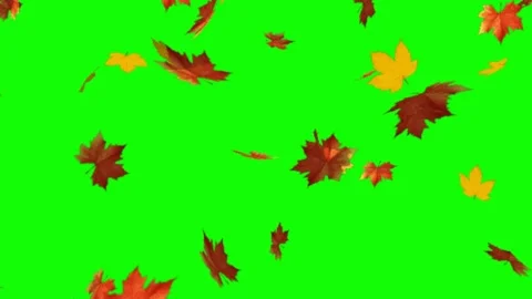 Falling Leaves Animation Green Screen Stock Footage ~ Royalty Free ...