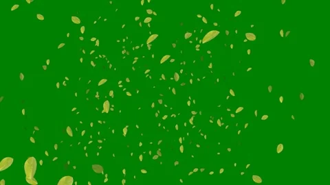 Leaves Falling Greenscreen Stock Videos – Royalty-Free HD & 4K Videos