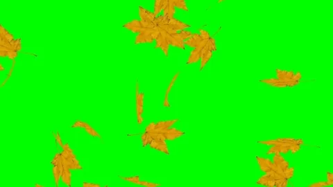 Leaves Falling Green Screen Stock Video Footage | Royalty Free Leaves ...
