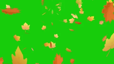 Falling Leaves Green Screen | Stock Video | Pond5