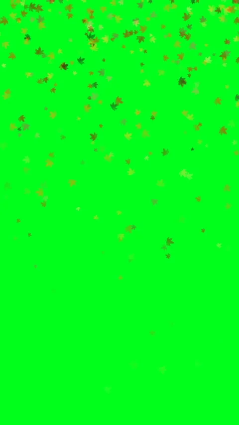 Falling Leaves On Green Screen vertical ... | Stock Video | Pond5