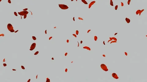 Falling leaves in green screen white and... | Stock Video | Pond5