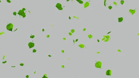Leaves Falling Green Screen Stock Video Footage | Royalty Free Leaves ...