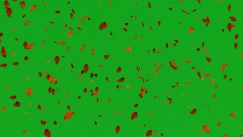 Falling leaves in green screen white and... | Stock Video | Pond5