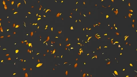 Falling leaves in green screen white and... | Stock Video | Pond5