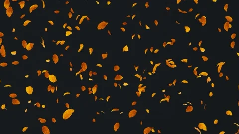 Falling leaves in green screen white and... | Stock Video | Pond5
