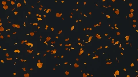 Falling leaves in green screen white and... | Stock Video | Pond5