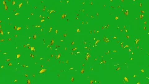 Falling leaves in green screen white and... | Stock Video | Pond5