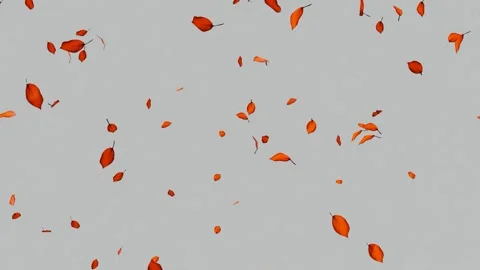 Falling leaves in green screen white and... | Stock Video | Pond5