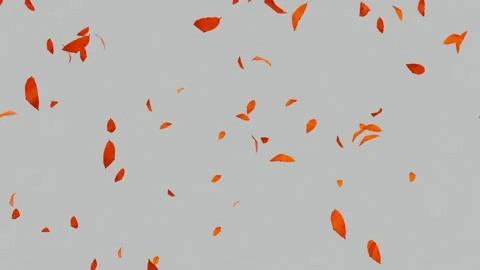 Falling leaves in green screen white and... | Stock Video | Pond5