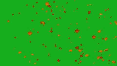 Leaves Falling Green Screen Stock Video Footage | Royalty Free Leaves ...