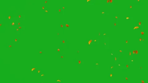 Leaves Falling Green Screen Stock Video Footage | Royalty Free Leaves ...