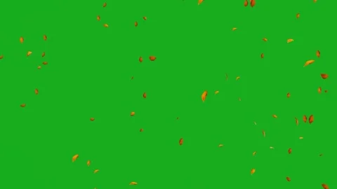 Falling leaves in green screen white and... | Stock Video | Pond5
