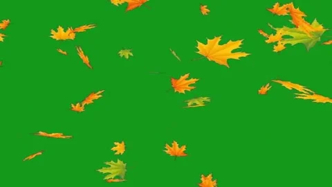 Falling leaves motion graphics with gree... | Stock Video | Pond5