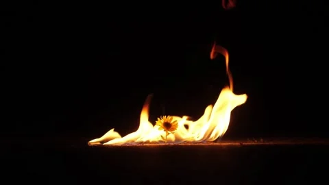 Petrol Fire Stock Video Footage | Royalty Free Petrol Fire Videos | Pond5