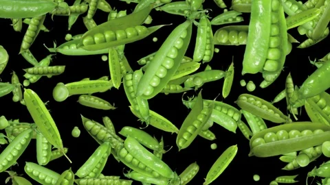 Falling PIE Animation, Background, Loop,... | Stock Video | Pond5