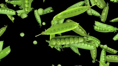 Falling PIE Animation, Background, Loop,... | Stock Video | Pond5