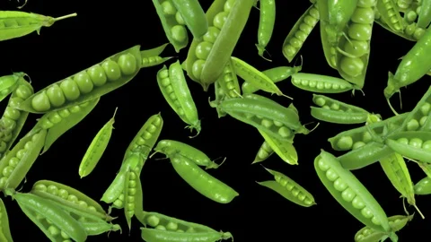 Falling PIE Animation, Background, Loop,... | Stock Video | Pond5