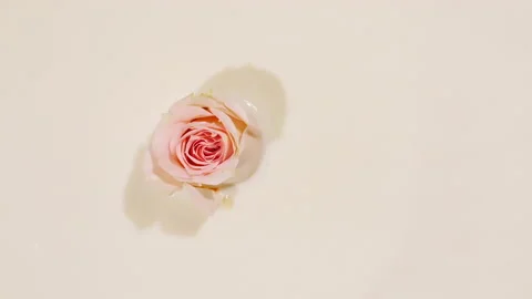 Pink Fragrance Stock Videos – Royalty-Free HD & 4K Videos | Page 3