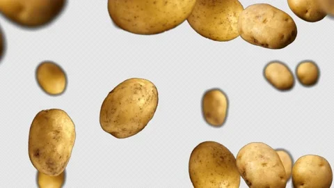 Falling Potato Background, Animation, R... | Stock Video | Pond5