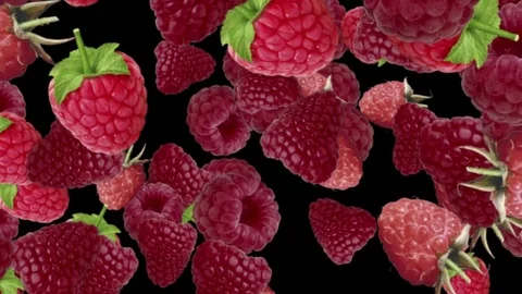 Falling RASPBERRIES Background, Loop, 60... | Stock Video | Pond5