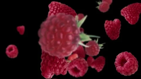 Falling RASPBERRIES Background, Loop | Stock Video | Pond5