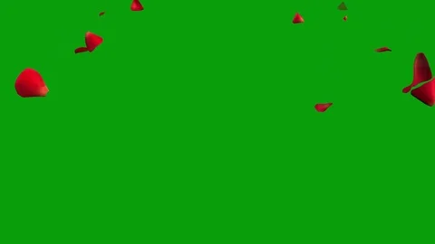 Falling rose petals with green screen ba... | Stock Video | Pond5