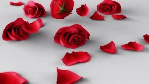 Falling Roses from a different angle | Stock Video | Pond5