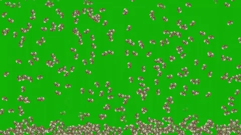 Skulls Falling Stock Video Footage | Royalty Free Skulls Falling Videos ...