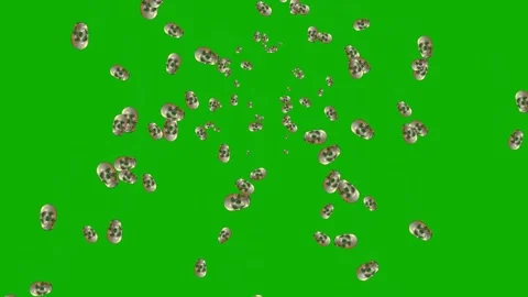 Skulls Falling Stock Video Footage | Royalty Free Skulls Falling Videos ...
