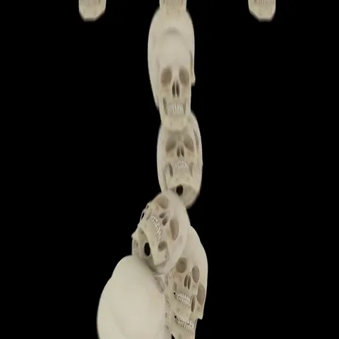 Skulls Falling Stock Video Footage | Royalty Free Skulls Falling Videos ...