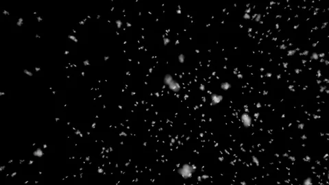 Snow Falling Alpha Channel Stock Footage ~ Royalty Free Stock Videos | Pond5