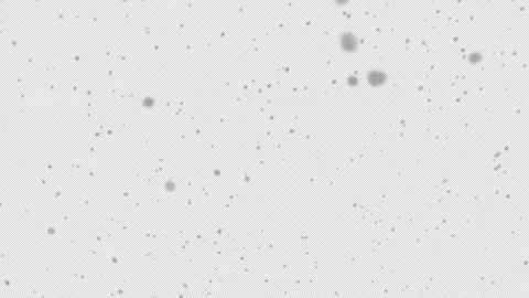 Falling snow animation with Alpha Channe... | Stock Video | Pond5