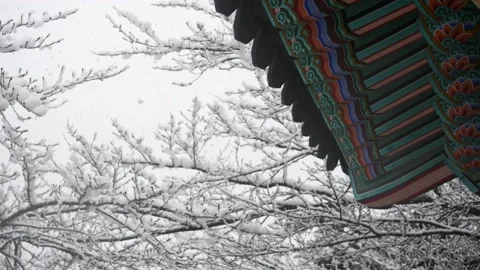 Falling snow at eaves in Gyeongpodae pav... | Stock Video | Pond5