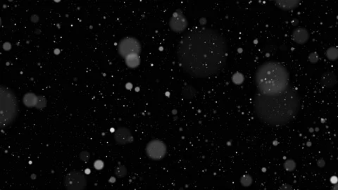 Fairy Dust Overlay Stock Video Footage | Royalty Free Fairy Dust ...