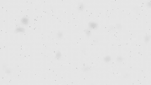 Snow Animated Overlay Stock Footage ~ Royalty Free Stock Videos | Pond5