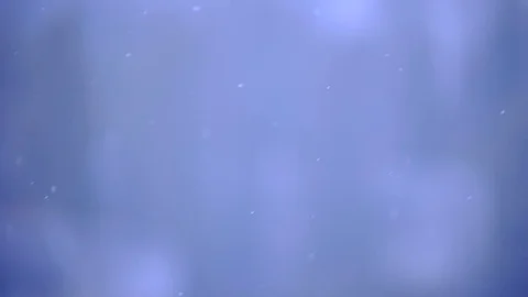 Falling snow snowfall. Loopable motion b... | Stock Video | Pond5