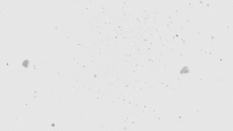 Snow Falling Alpha Channel Stock Footage ~ Royalty Free Stock Videos | Pond5