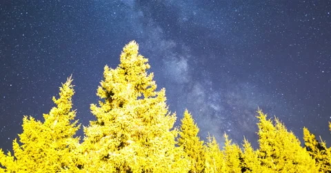 Falling stars pine trees Milky Way 4k | Stock Video | Pond5