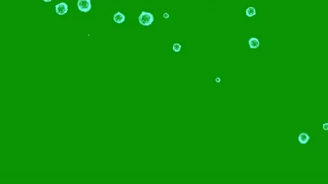 Falling virus particles green screen mot... | Stock Video | Pond5