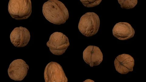 Falling Walnuts on Transparent Backgroun... | Stock Video | Pond5