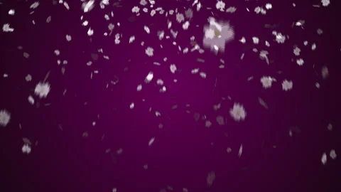 Falling White Daisies Background Animati... | Stock Video | Pond5