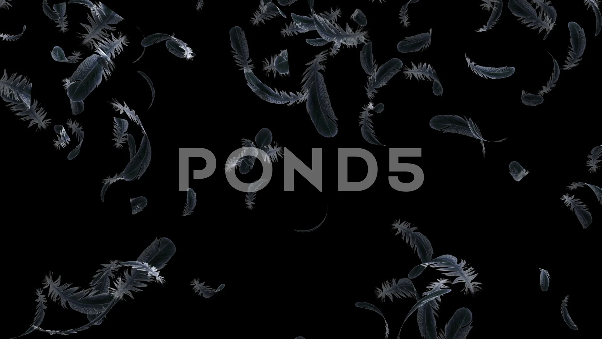 Falling Feathers Png