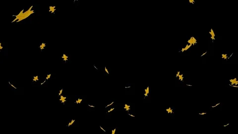 Falling yellow leaves isolated with an a... | Stock Video | Pond5