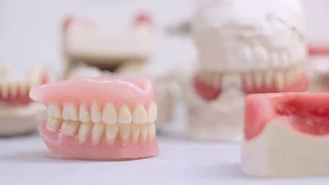 Snapping Teeth Stock Videos – Royalty-Free HD & 4K Videos