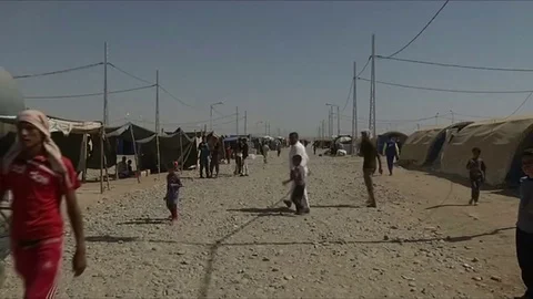 Fent Fighters Stock Videos – Royalty-Free HD & 4K Videos