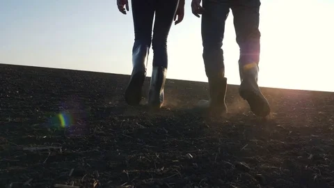 Family of farmers walk on the field at s... | Stock Video | Pond5