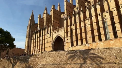 Famous People Vi Stock Videos – Royalty-Free HD & 4K Videos | Pond5