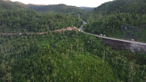 Famous coconut road, Palm tree road on S... | Stock Video | Pond5